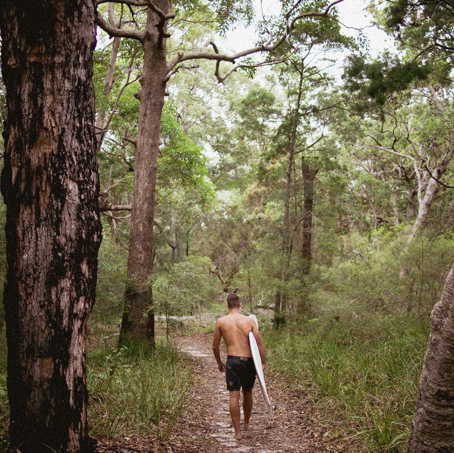 Nineplus Surfing Co.